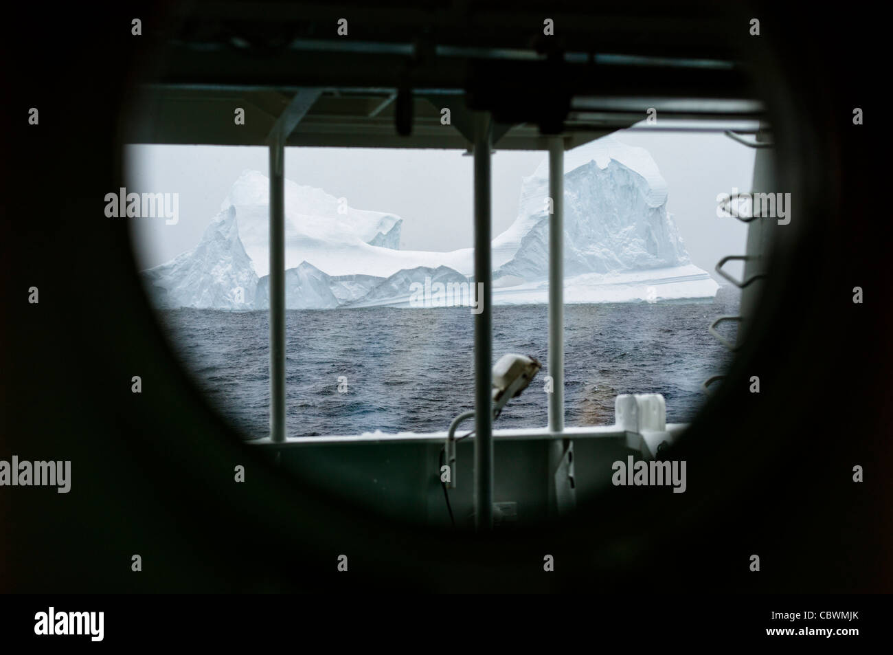 Antarctic fauna hi-res stock photography and images - Alamy