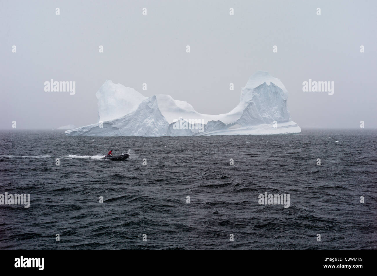 Antarctic fauna hi-res stock photography and images - Alamy