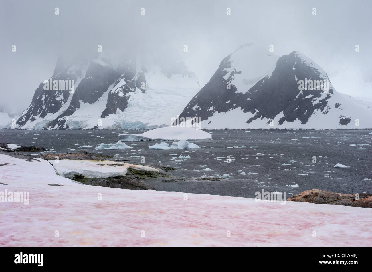 PETERMANN ISLAND, ANTARCTICA Stock Photo - Alamy