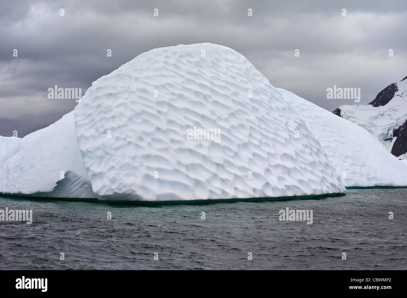 Antarctica pleneau island travel hi-res stock photography and images ...