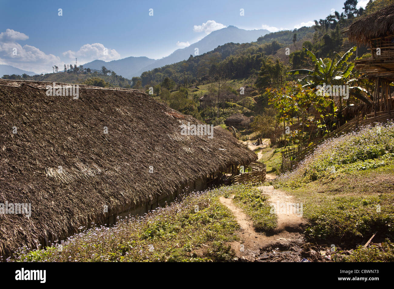 India, Arunachal Pradesh, Panging village, houses made from locally ...