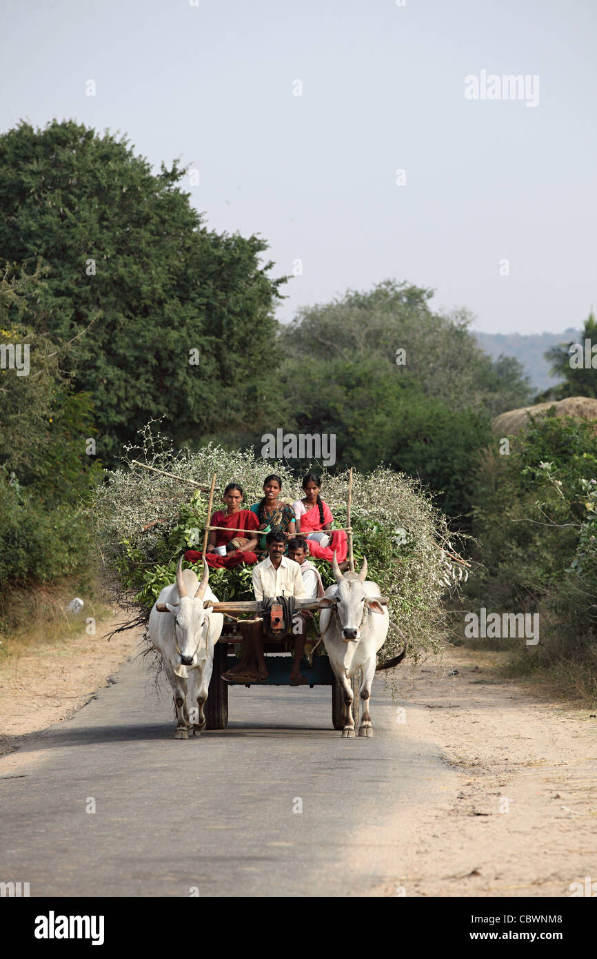 Bullock cart on a rural road in Andhra Pradesh South India Stock Photo ...