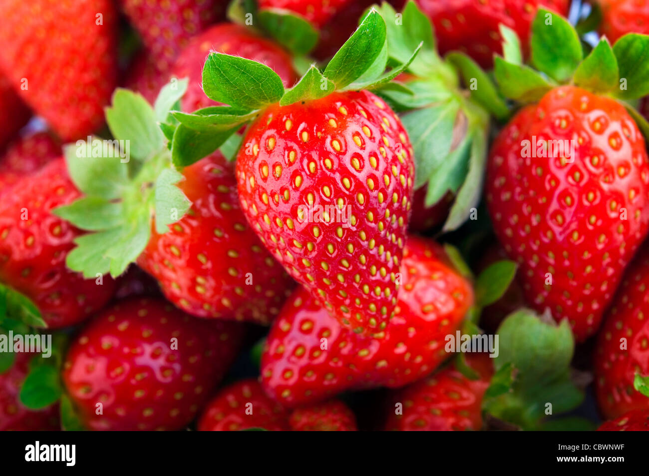 Fresh Ripe Perfect Strawberries Full Frame Background Stock Photo - Alamy