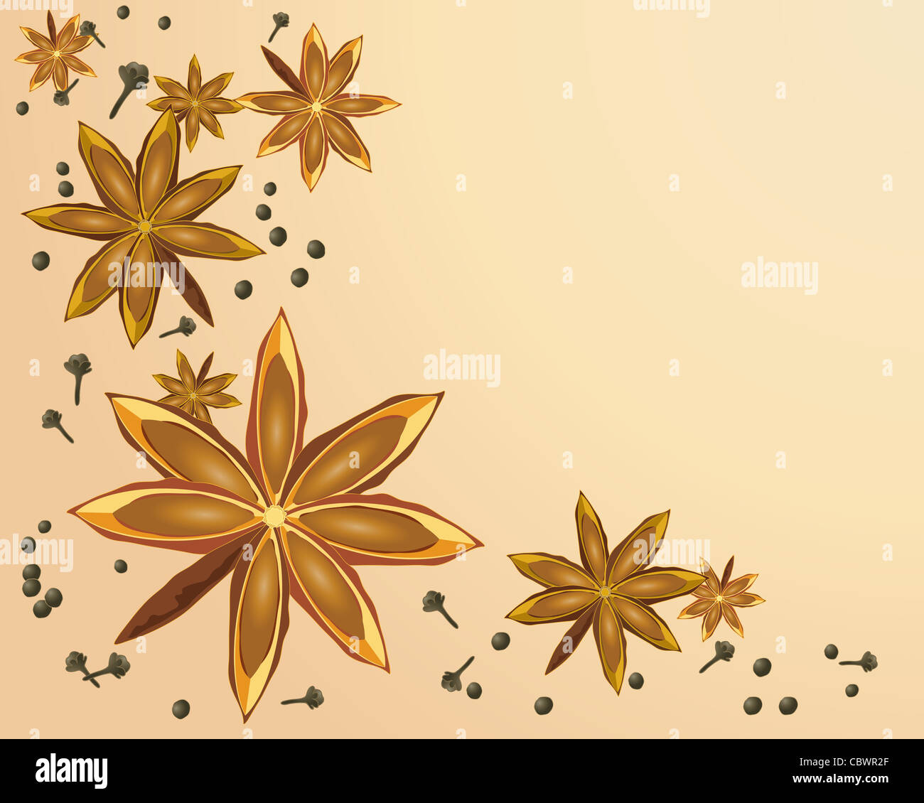 an illustration of a star anise design with cloves and peppercorns on a ...