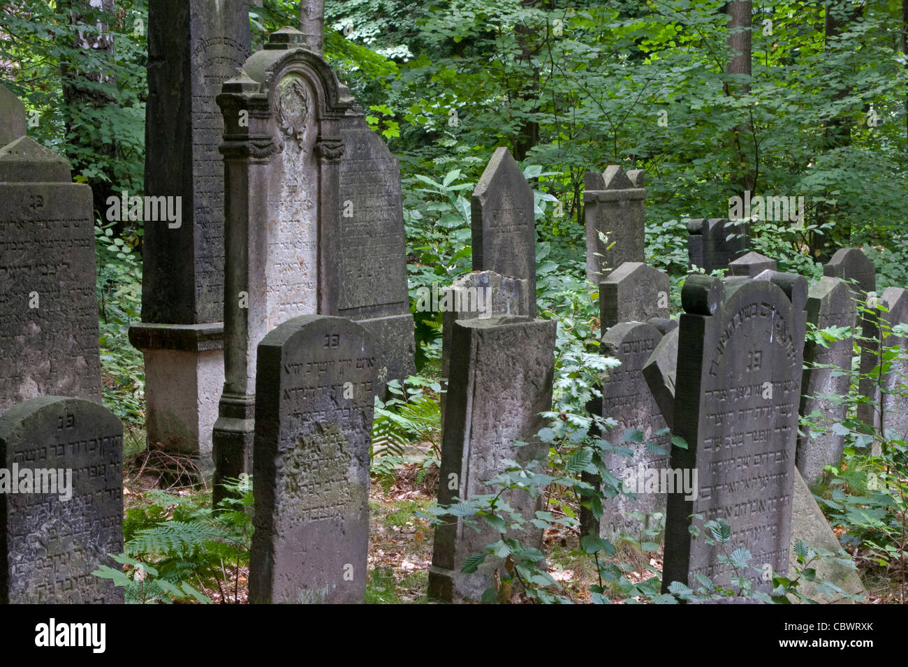 Old tombstones, cemetery Hamburg, Germany Stock Photo - Alamy