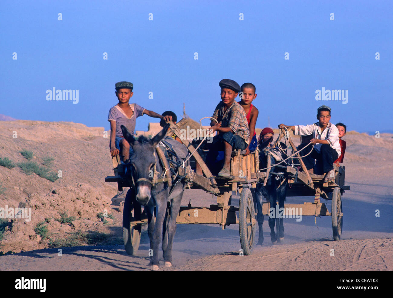 Mule drawn carts hi-res stock photography and images - Alamy