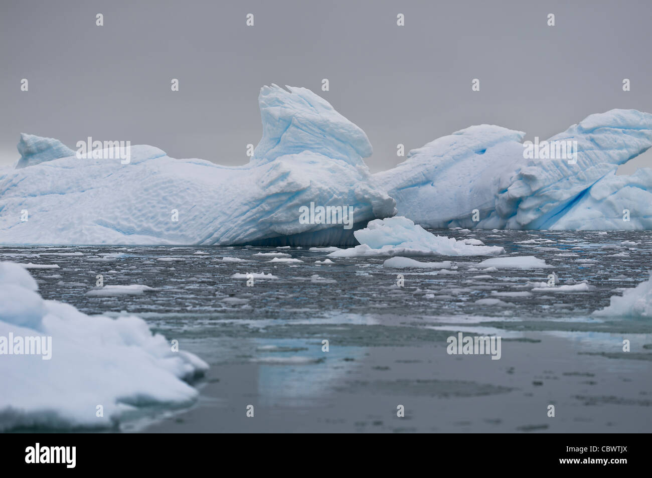 ICEBERGS WILHELMINA BAY ANTARCTICA Stock Photo - Alamy