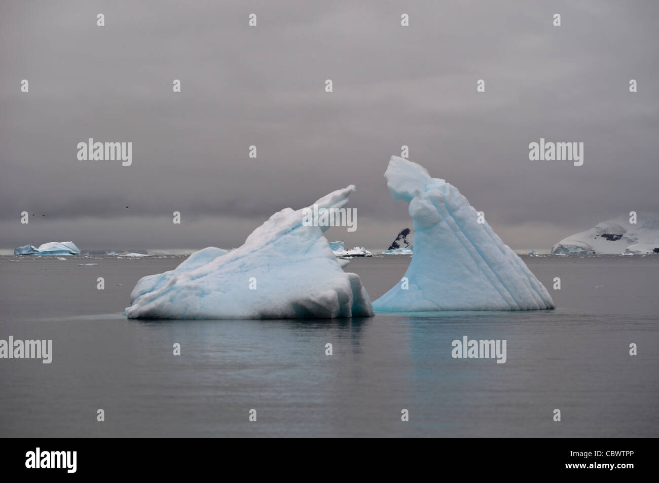 ICEBERGS WILHELMINA BAY ANTARCTICA Stock Photo - Alamy