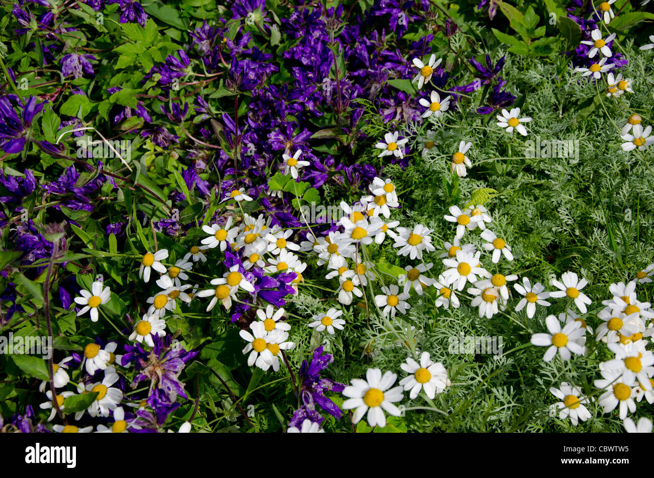 Scotland, Inner Hebrides, Isle of Skye. Armadale Castle Gardens Stock ...