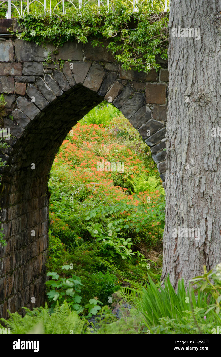Scotland, Inner Hebrides, Isle of Skye. Armadale Castle Gardens ...