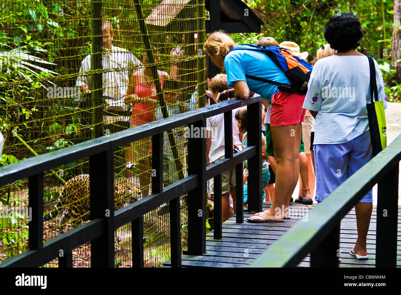 Jaguar cage hi-res stock photography and images - Alamy