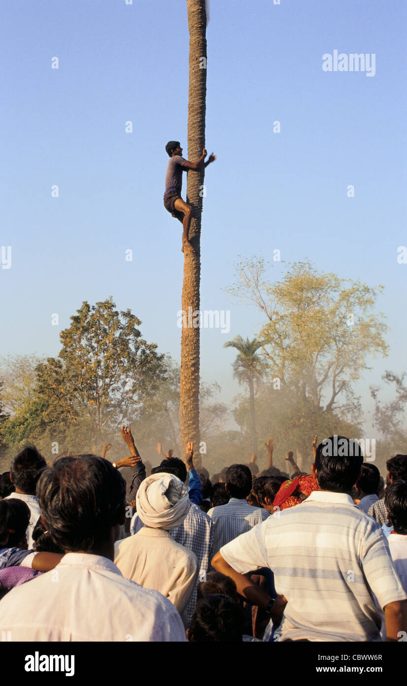 A man is climbing a tree during a tribal festival ( India Stock Photo ...