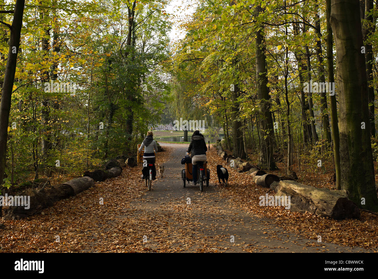 Cycling in the park Stock Photo - Alamy