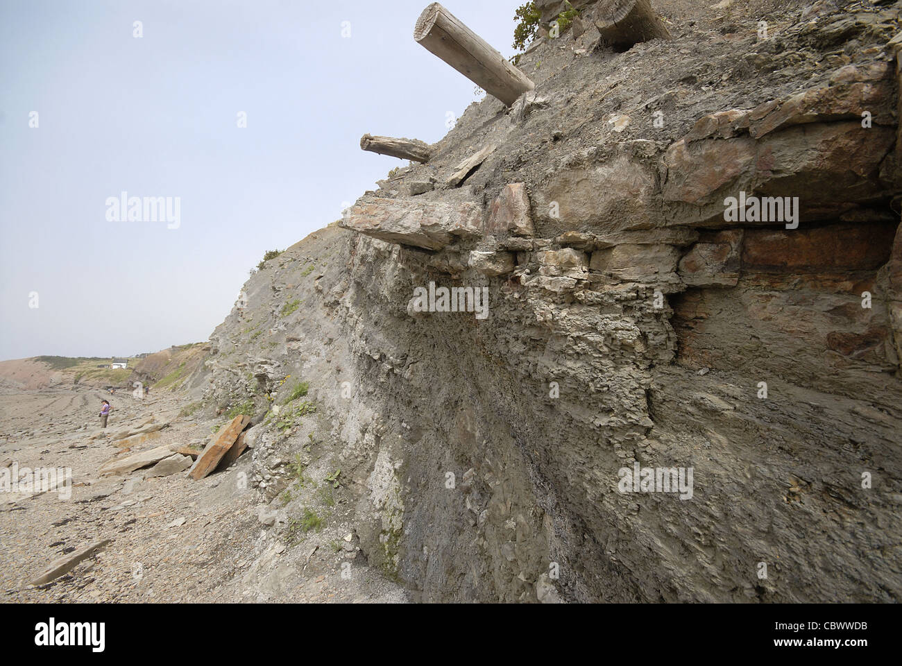 The cliffs of fundy nova scotia hi-res stock photography and images - Alamy