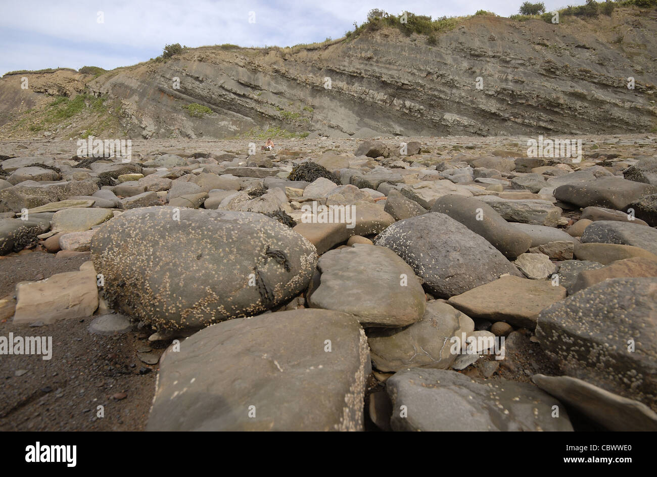 The cliffs of fundy nova scotia hi-res stock photography and images - Alamy