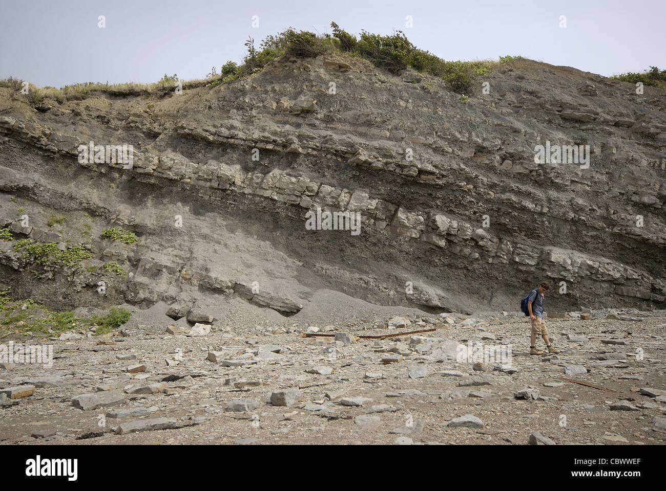 The cliffs of fundy nova scotia hi-res stock photography and images - Alamy