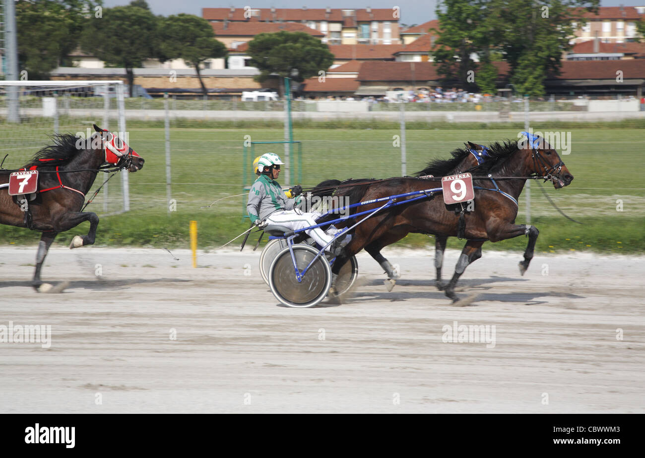 Harness racing in Ravenna, Italy Stock Photo - Alamy