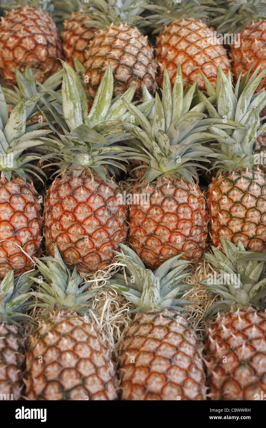 Fruit display with pineapple hi-res stock photography and images - Alamy