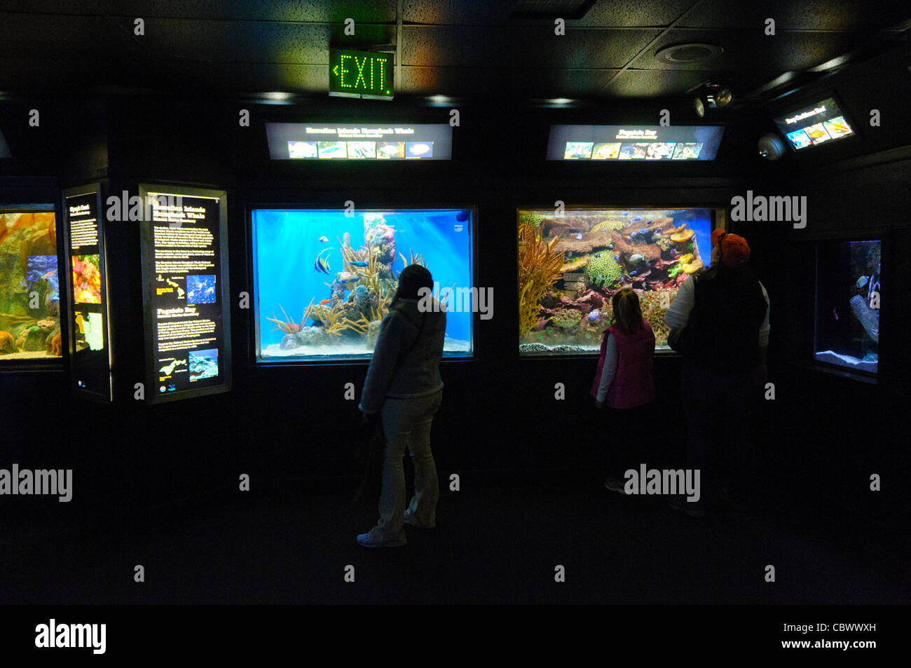Visitors in front of tanks and exhibits at the National Aquarium in ...