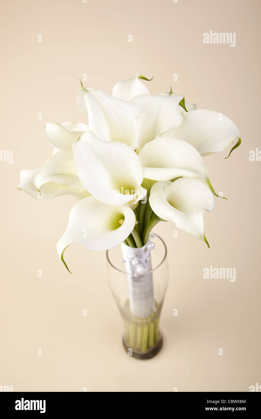 Feces flower hi-res stock photography and images - Alamy