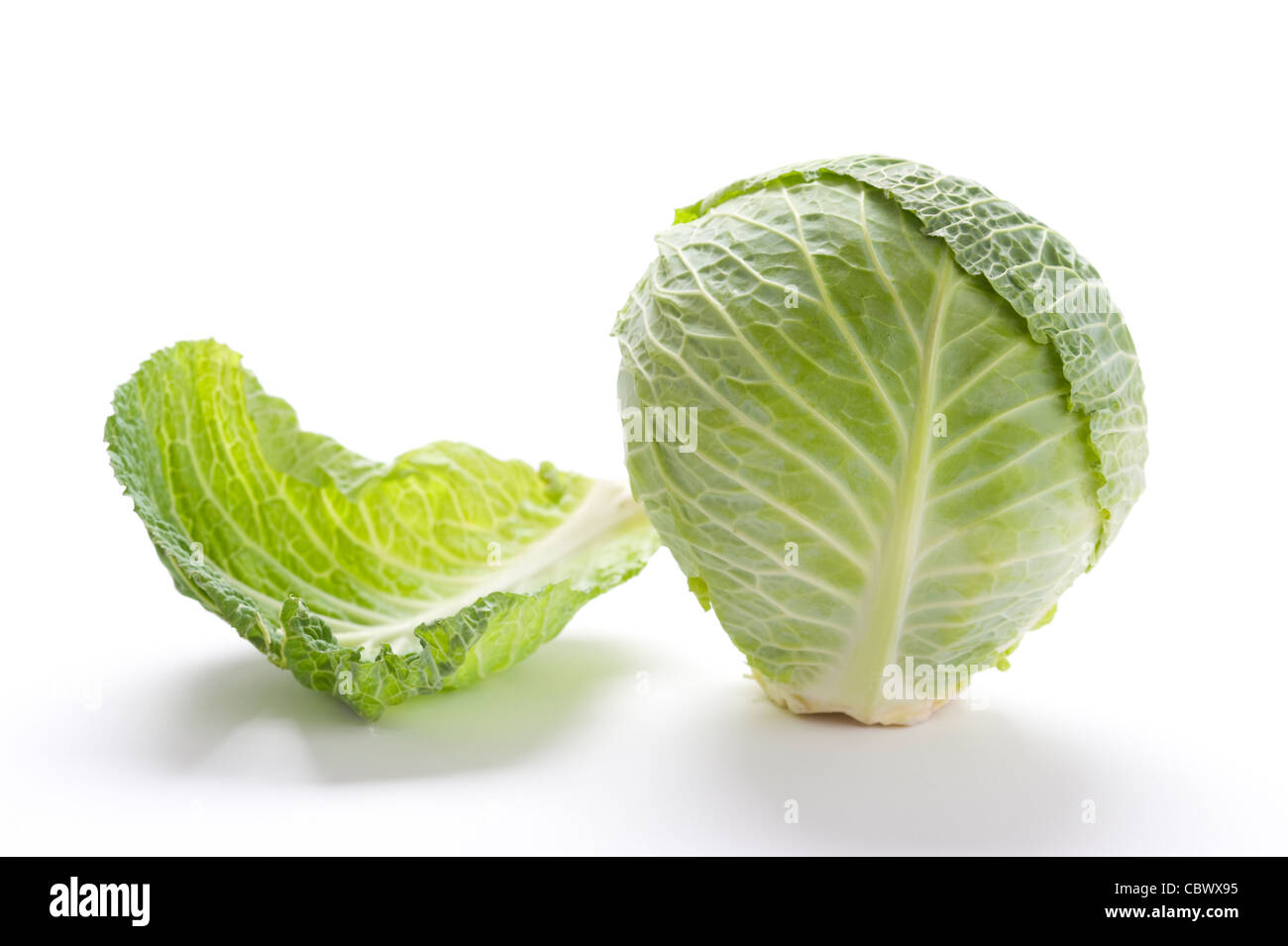 whole raw green cabbage isolated on a white surface with a single leaf ...