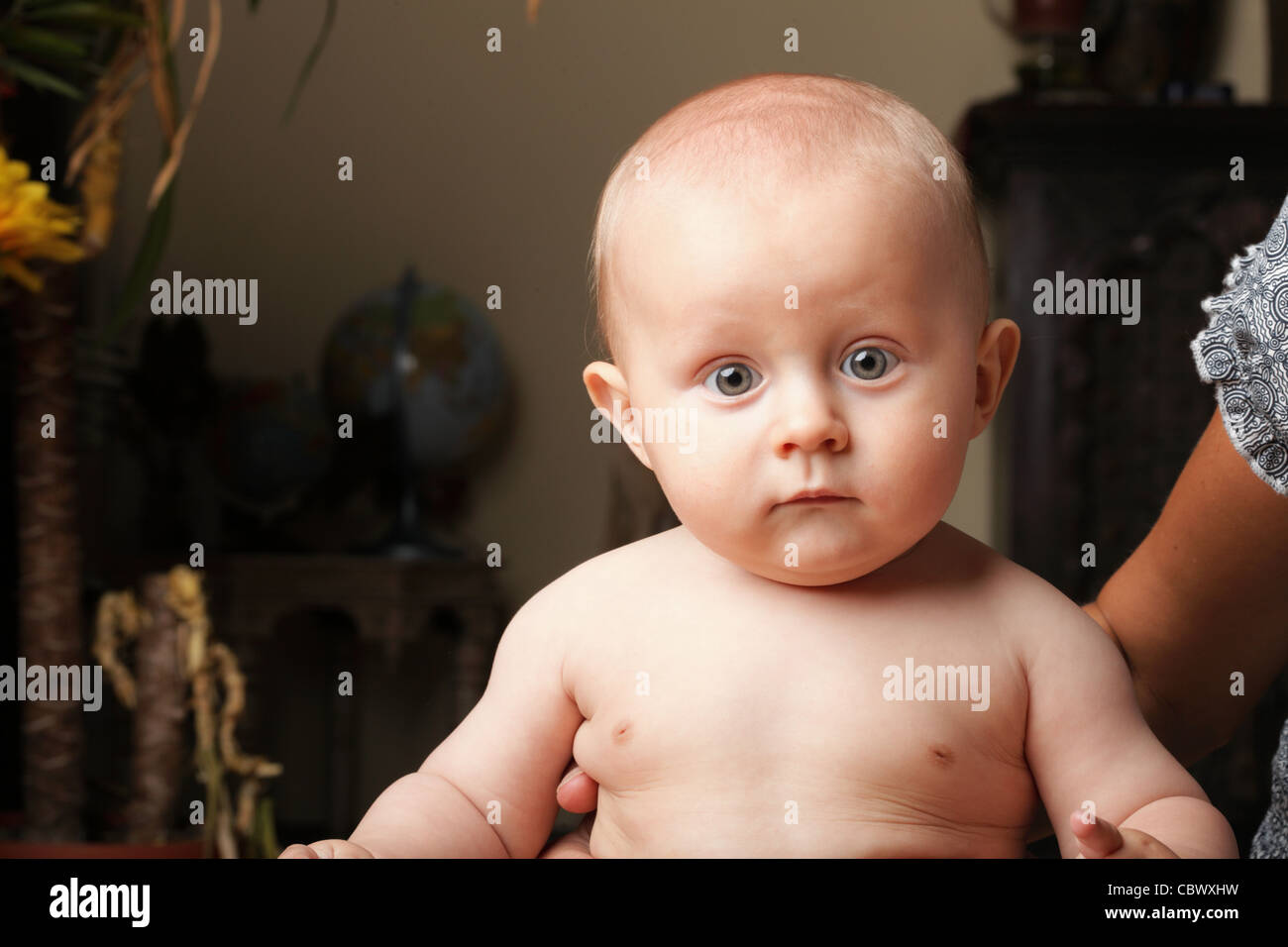 portrait of 6 months male child baby boy in blue eye Stock Photo - Alamy