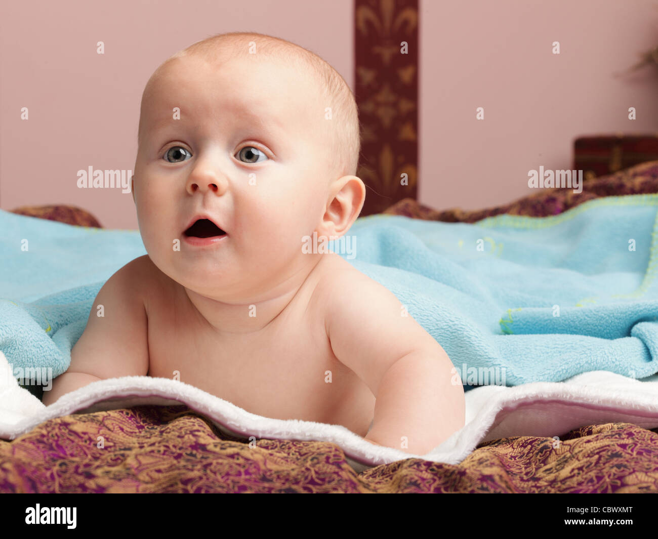 portrait of 6 months male child baby boy in blue eye Stock Photo - Alamy