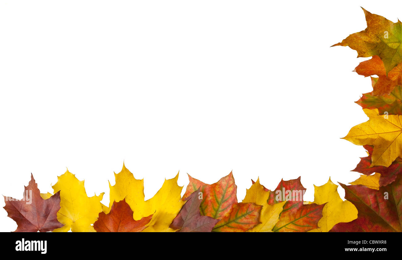 colours of autumn Stock Photo - Alamy