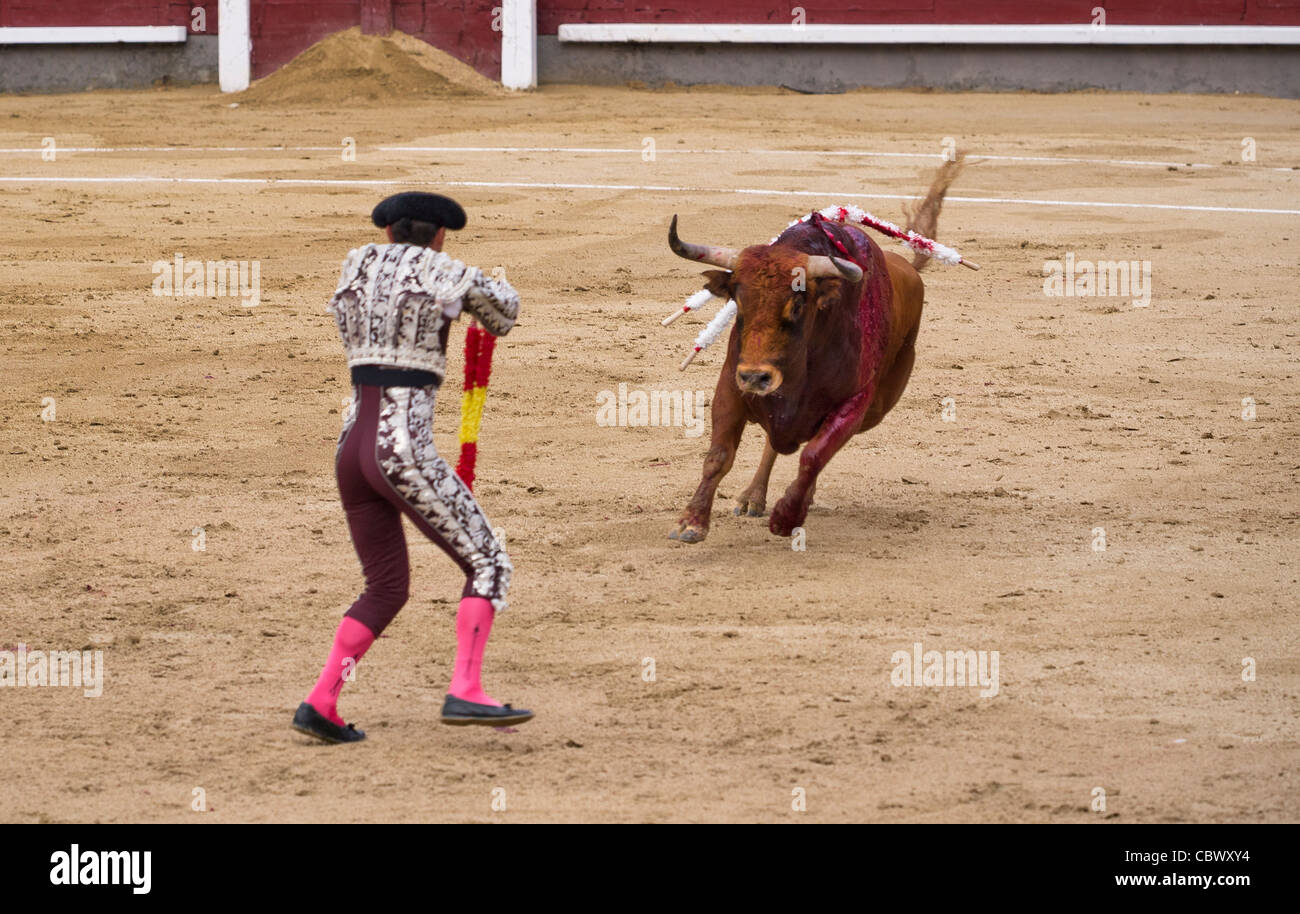 BULLFIGHT CORRIDA MADRID SPAIN Stock Photo - Alamy