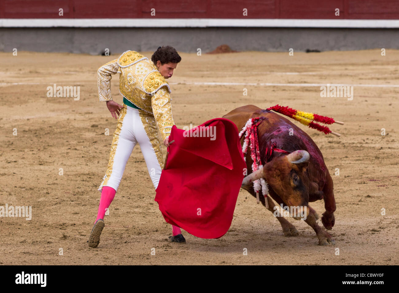 Bullfight hi-res stock photography and images - Alamy