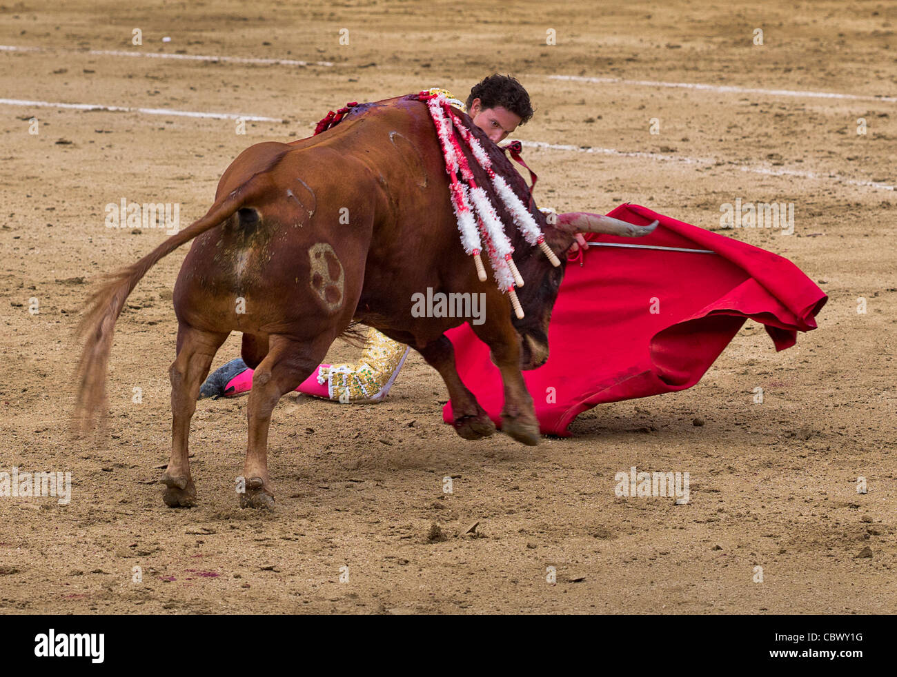 BULLFIGHT CORRIDA MADRID SPAIN Stock Photo - Alamy
