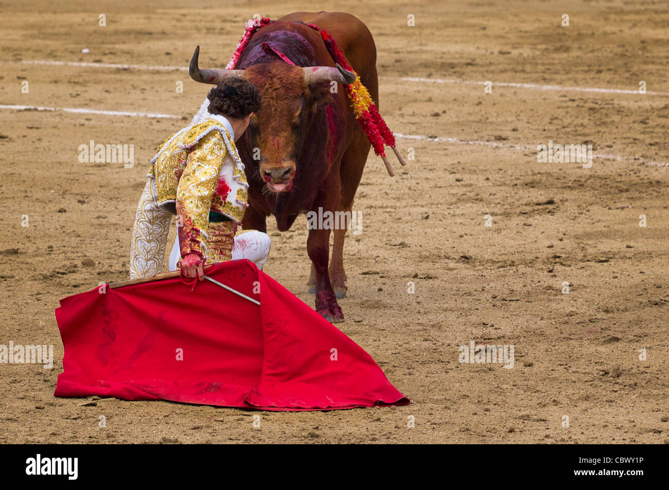 Spain bull hi-res stock photography and images - Alamy
