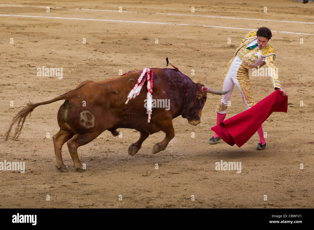 BULLFIGHT CORRIDA MADRID SPAIN Stock Photo - Alamy