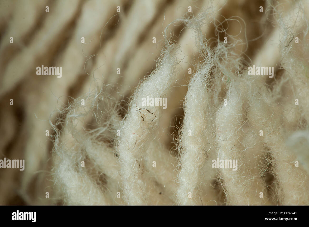 White wool fibers closeup Stock Photo - Alamy