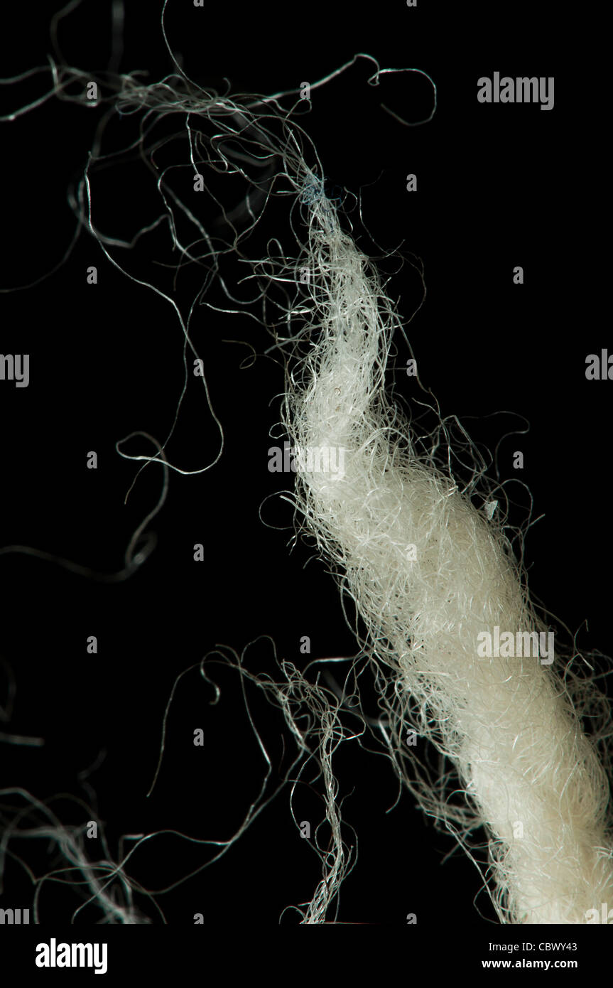 White wool fibers closeup. Black isolated Stock Photo - Alamy