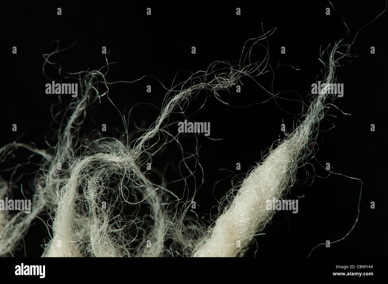 White wool fibers closeup. Black isolated Stock Photo - Alamy