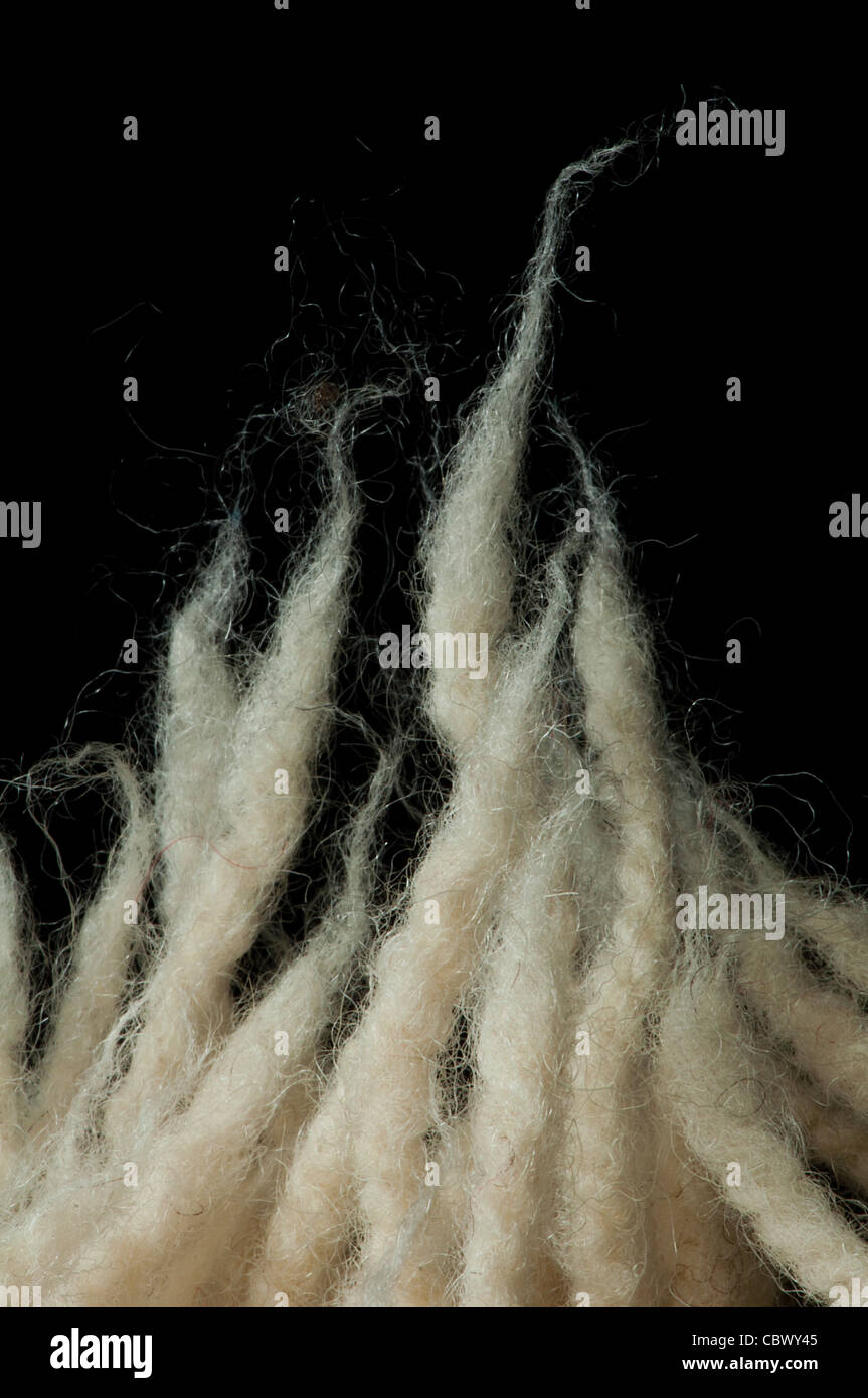 White wool fibers closeup. Black isolated Stock Photo - Alamy