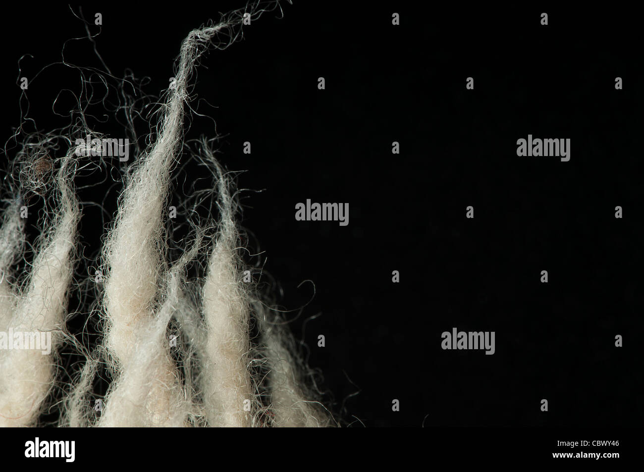 White wool fibers closeup. Black isolated Stock Photo - Alamy