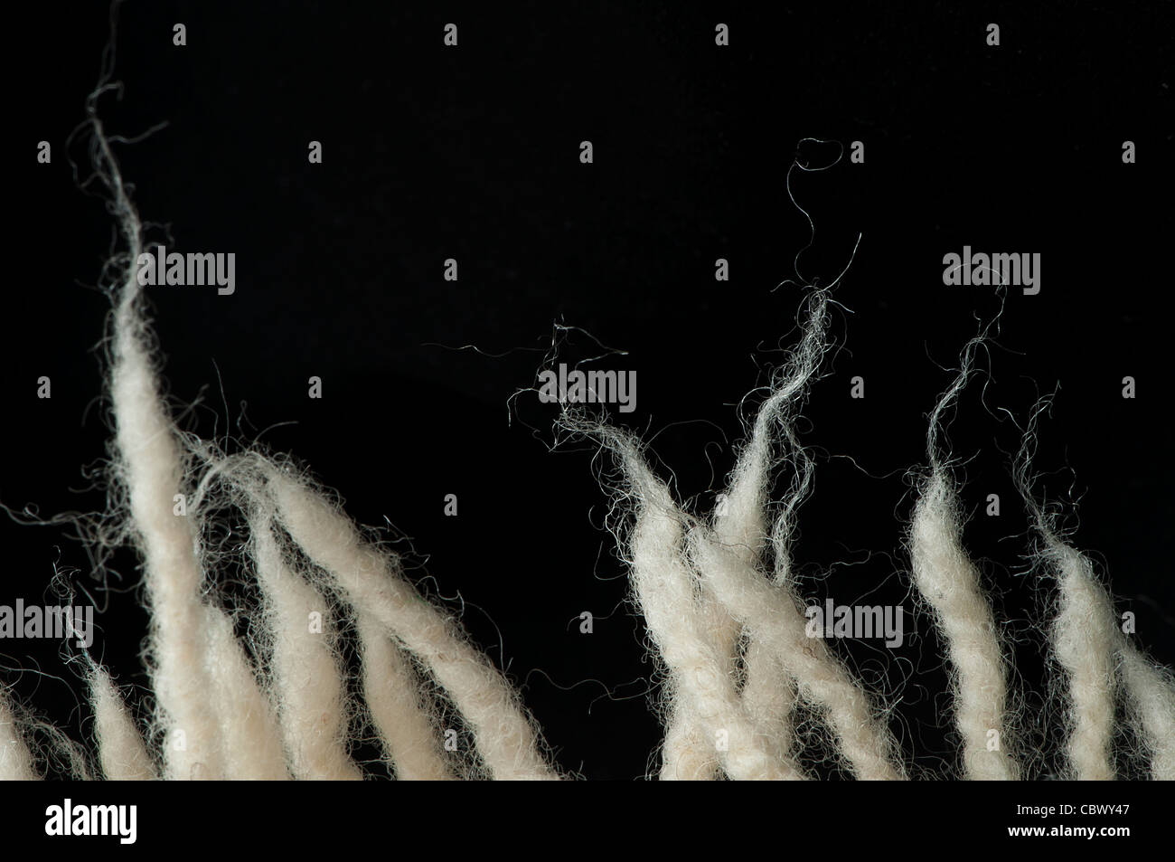 White wool fibers closeup. Black isolated Stock Photo - Alamy