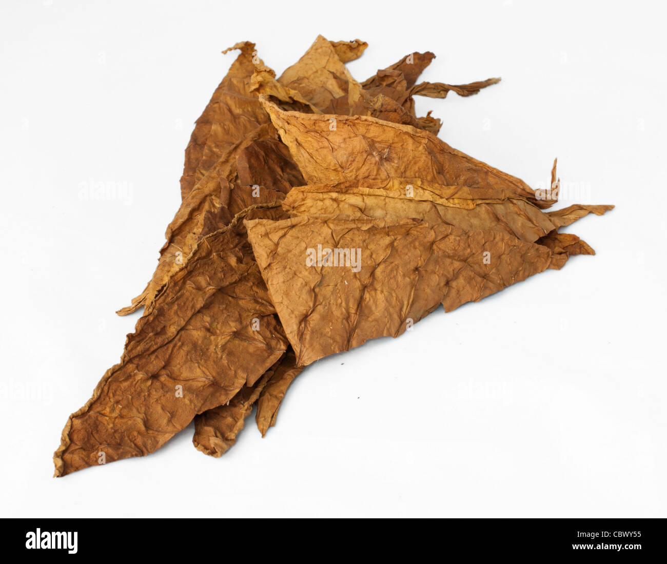 Dried tobacco leaf hi-res stock photography and images - Alamy