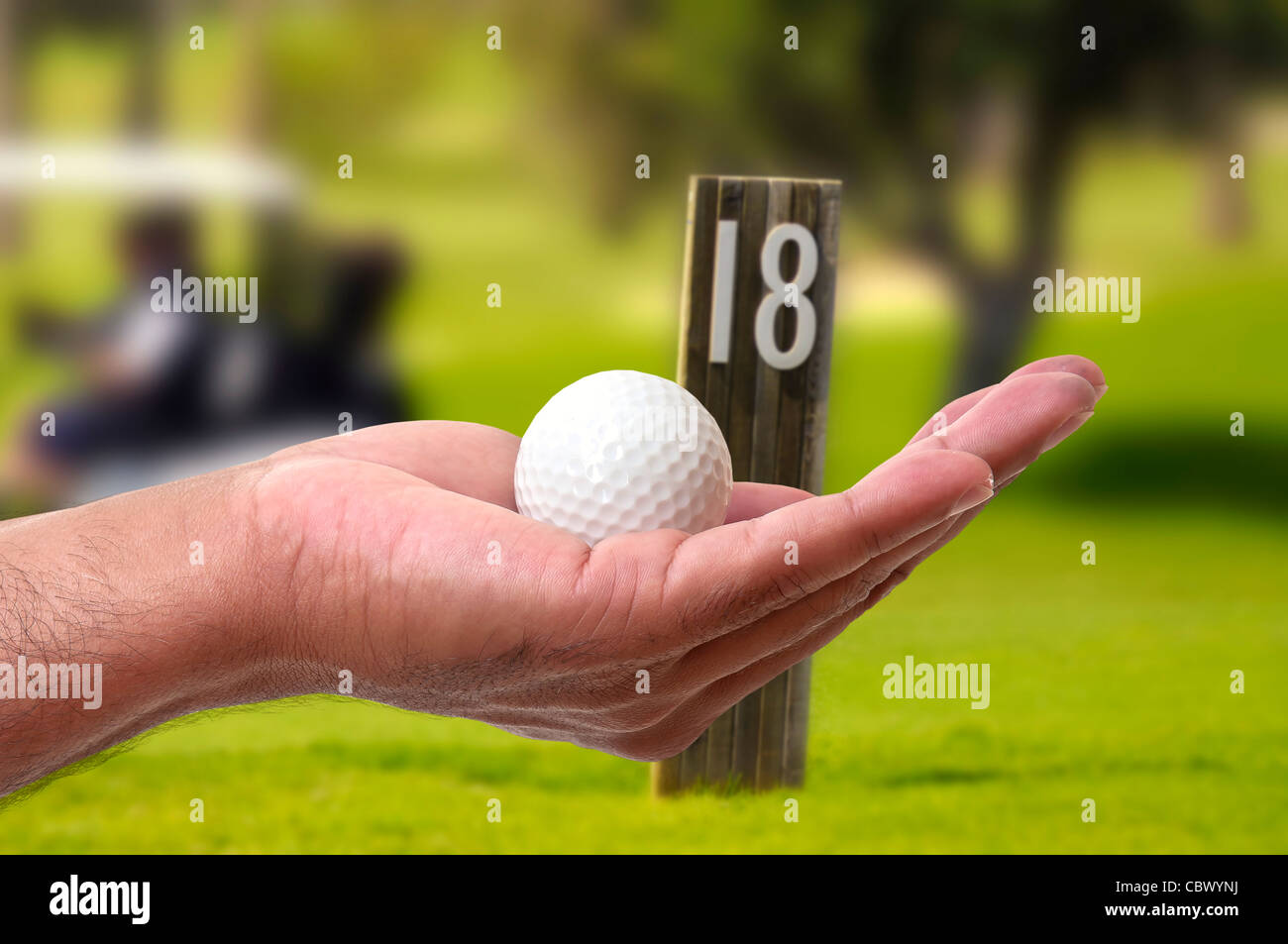 Hand with golf ball over a golf course Stock Photo - Alamy