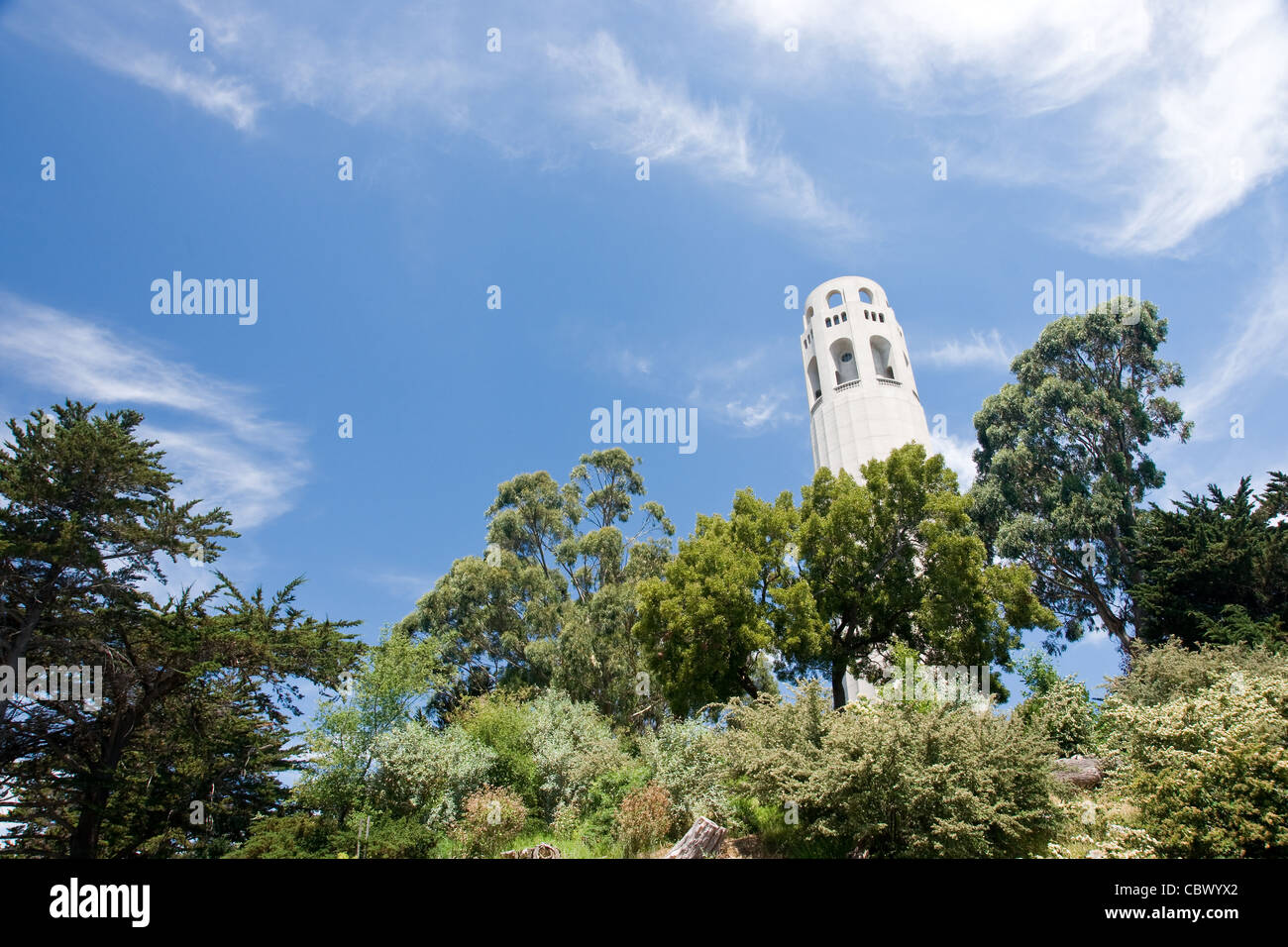 Coit tower SF Stock Photo - Alamy