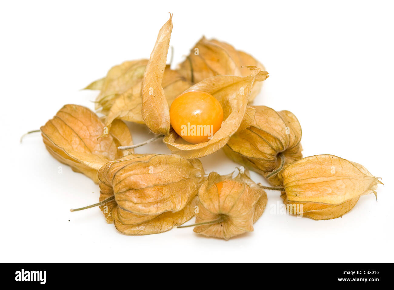 Fruit calyx hi-res stock photography and images - Alamy