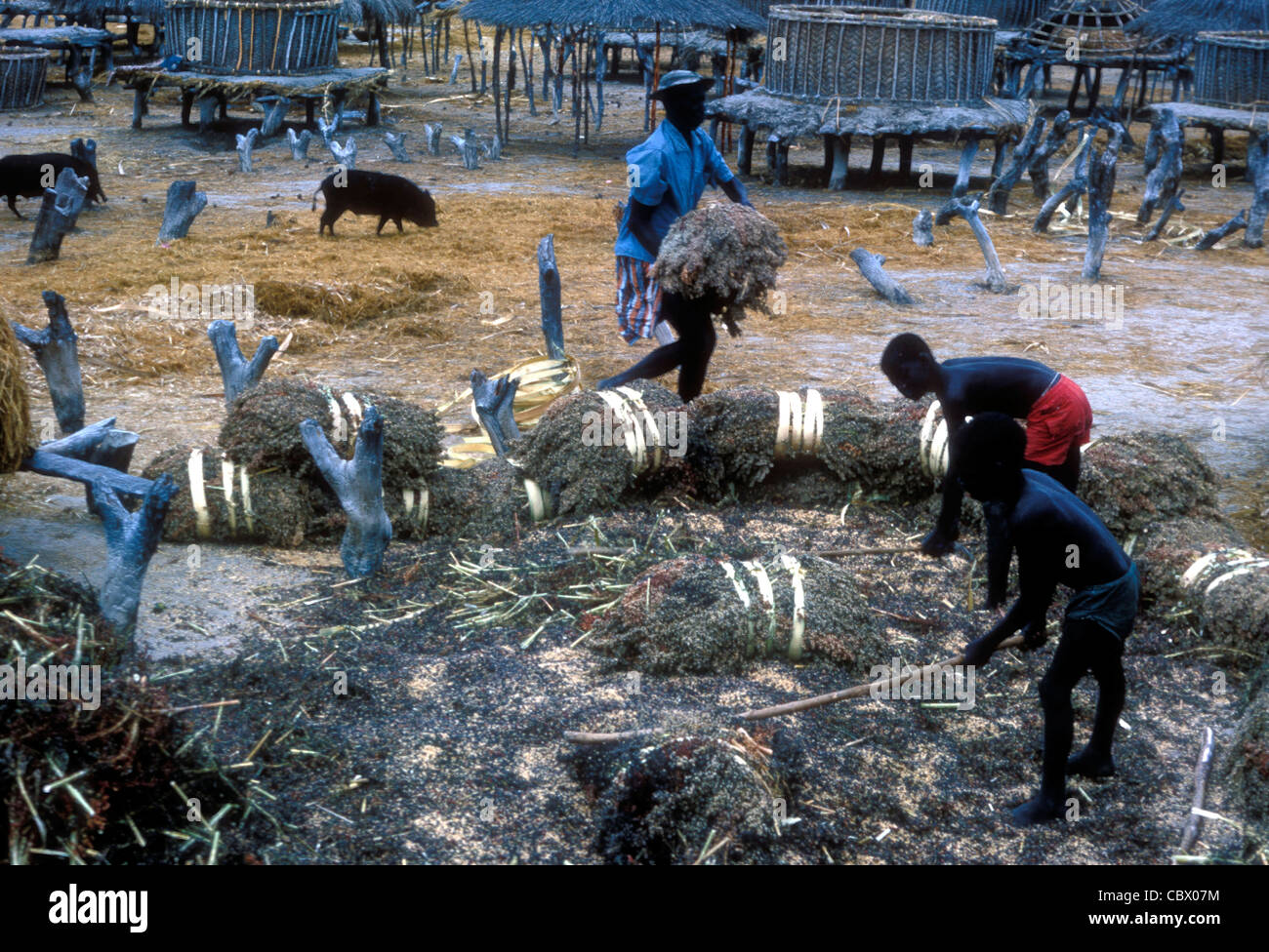 Peanuts senegal hi-res stock photography and images - Alamy