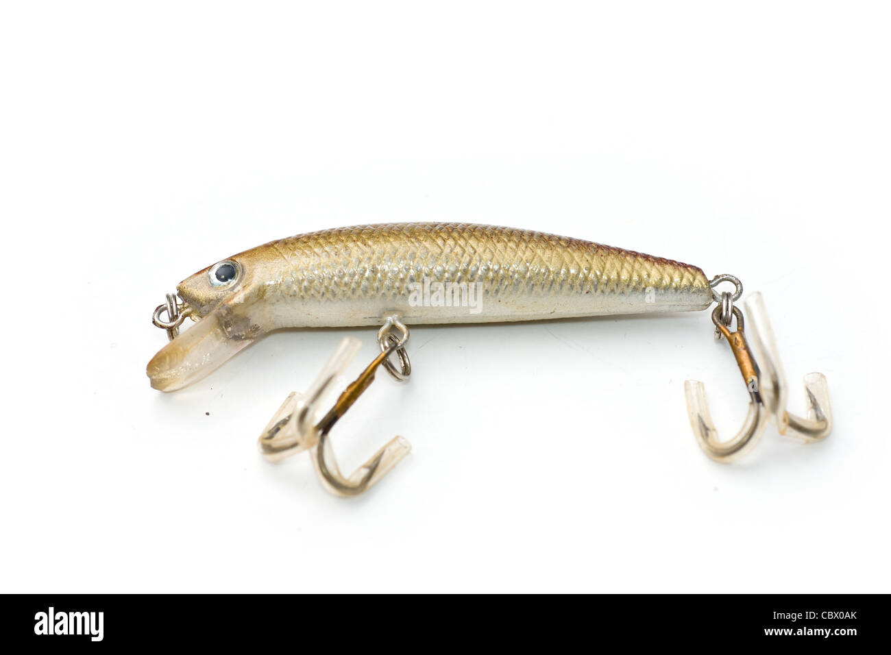 Lin fish hi-res stock photography and images - Alamy