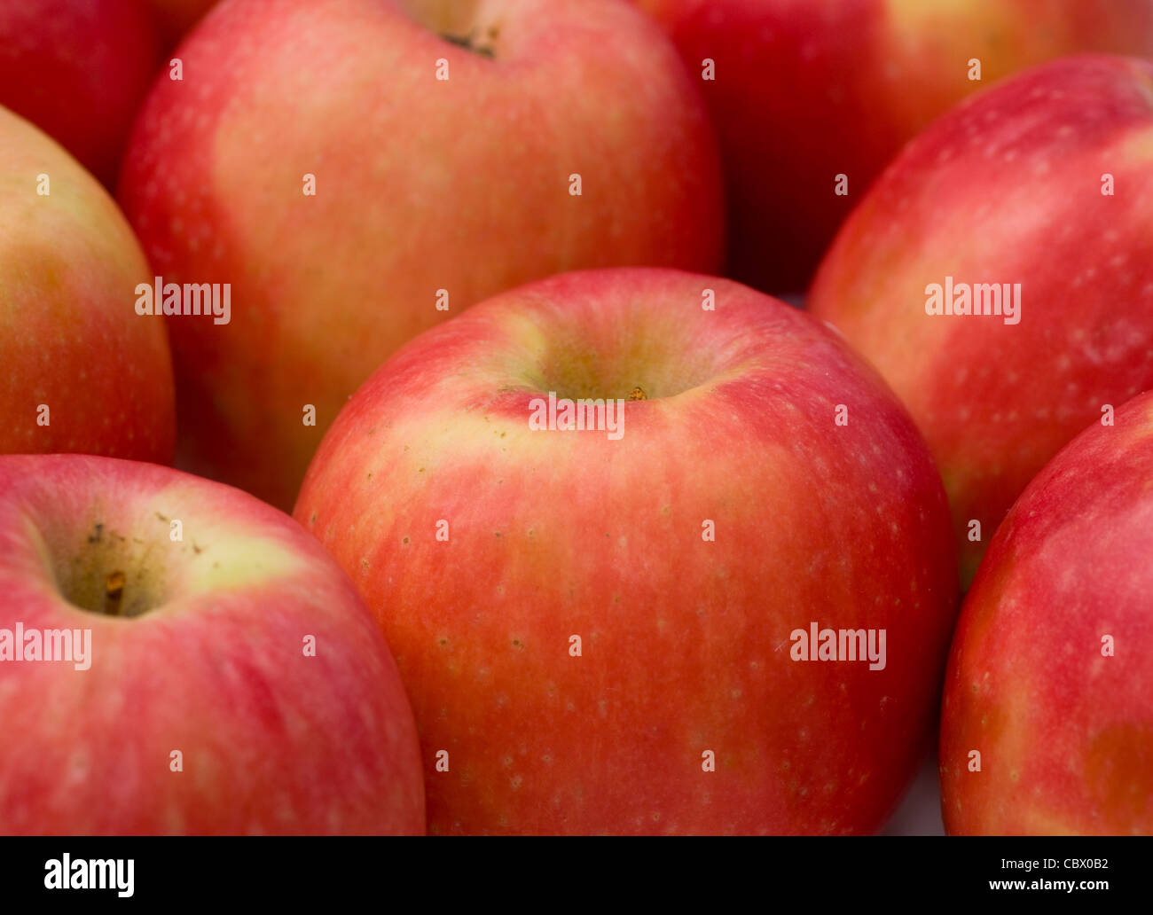 Pink lady apples Stock Photo - Alamy
