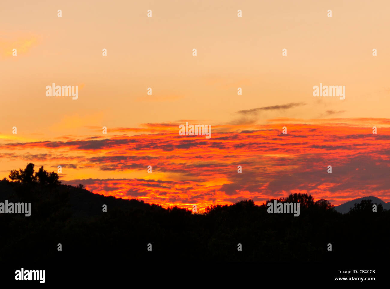 Usa gestures hi-res stock photography and images - Alamy