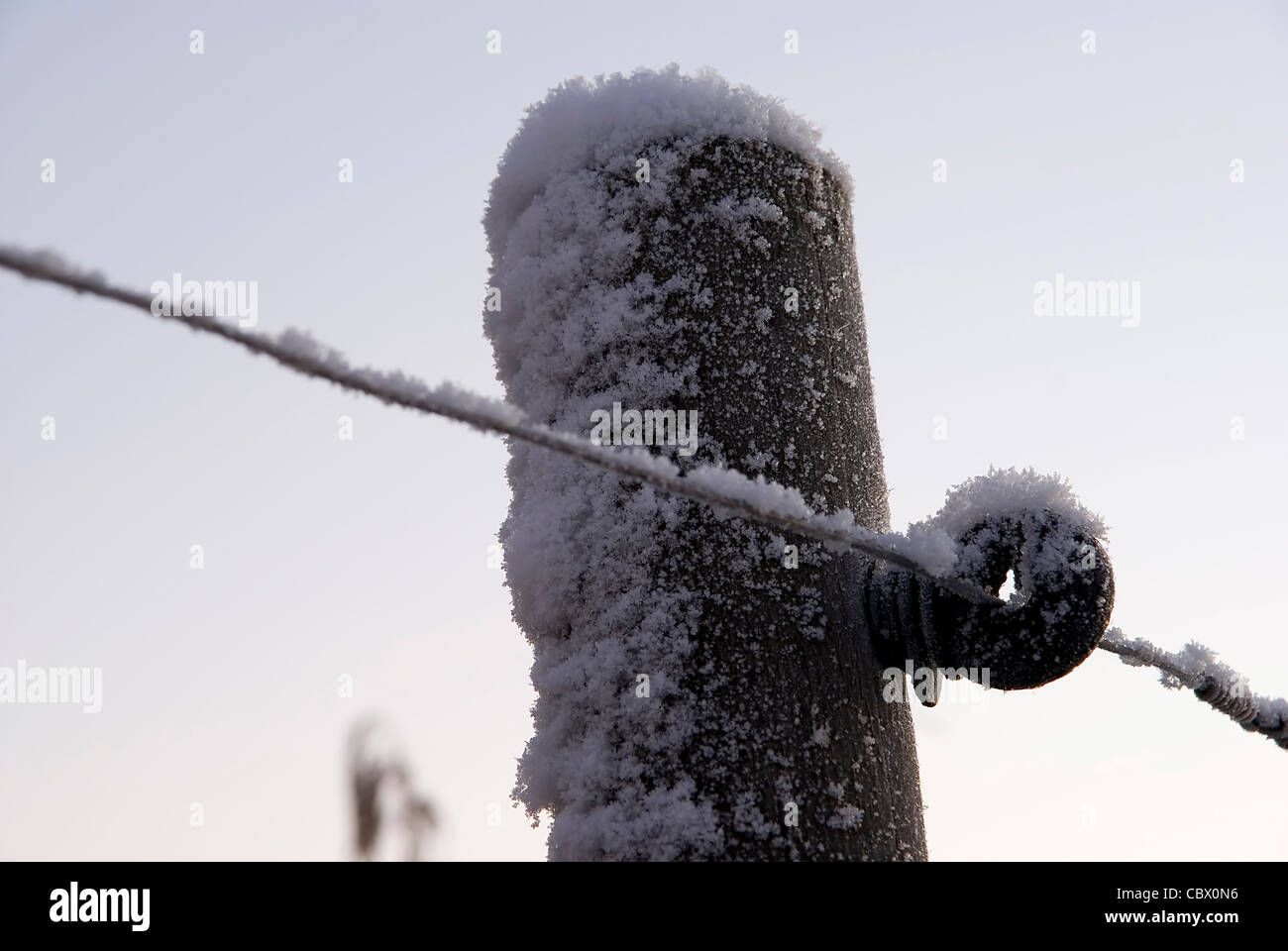 Picture of a pole in the winter Stock Photo - Alamy