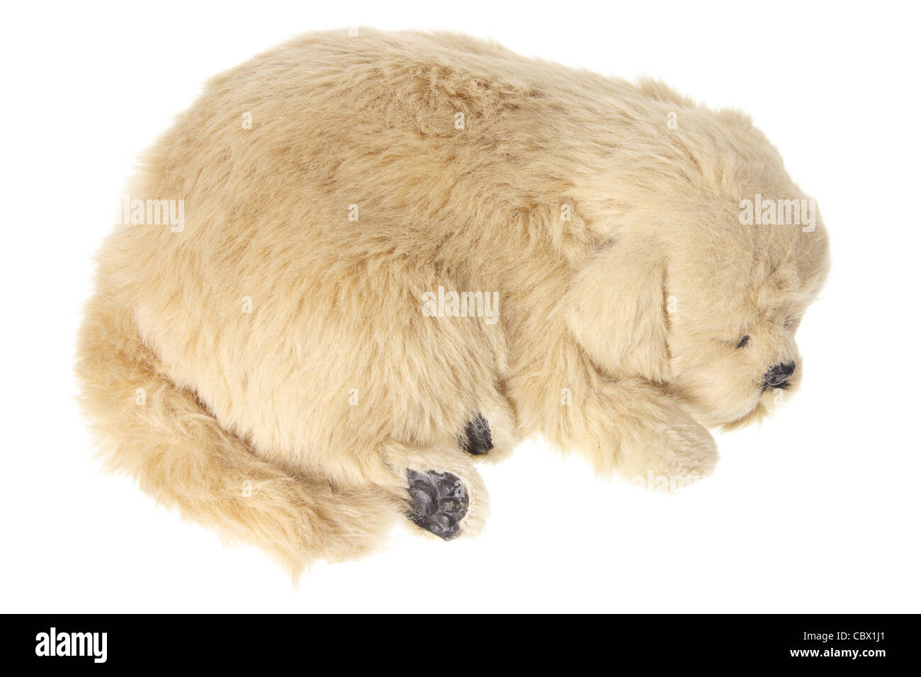 Soft Toy Dog Stock Photo - Alamy