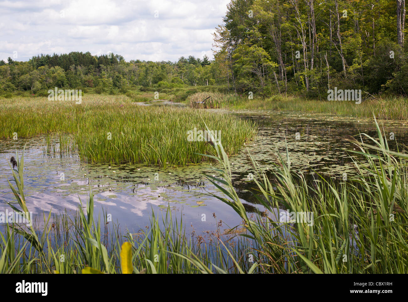 Massachusetts Landscape Farm New England Usa High Resolution Stock ...
